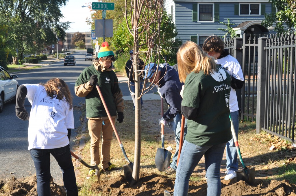 In Your Neighborhood | ReGreen Springfield