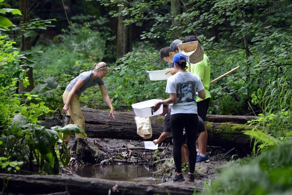 Become a Citizen Scientist This Year… | ReGreen Springfield