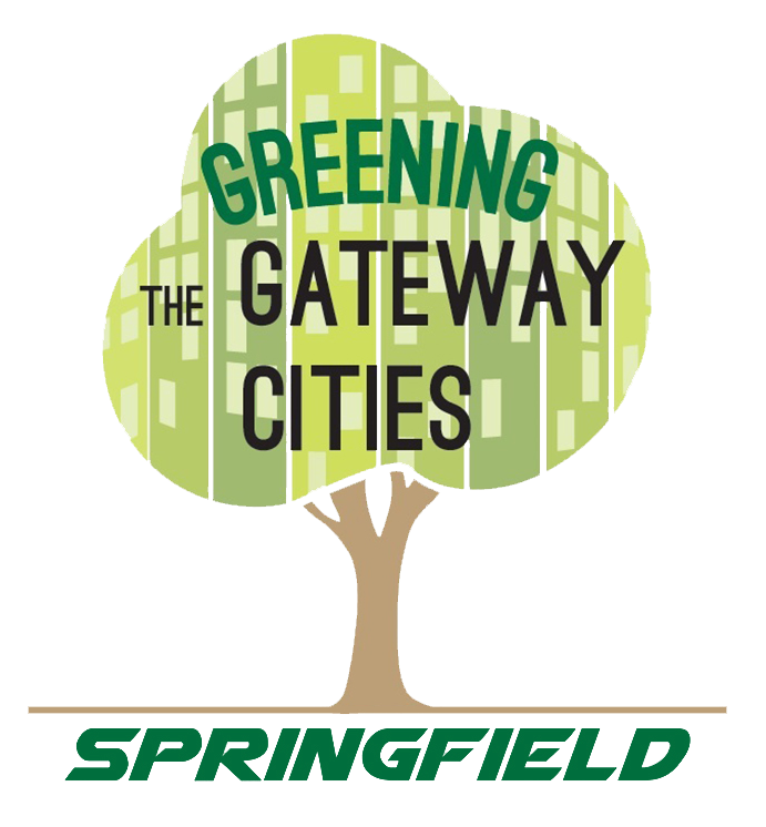 Resource Portal: Understanding and Caring for Your New Tree | ReGreen ...