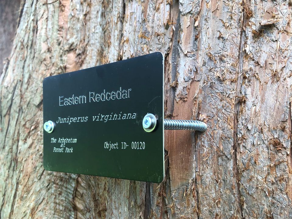 Forest Park Arboretum Project | ReGreen Springfield