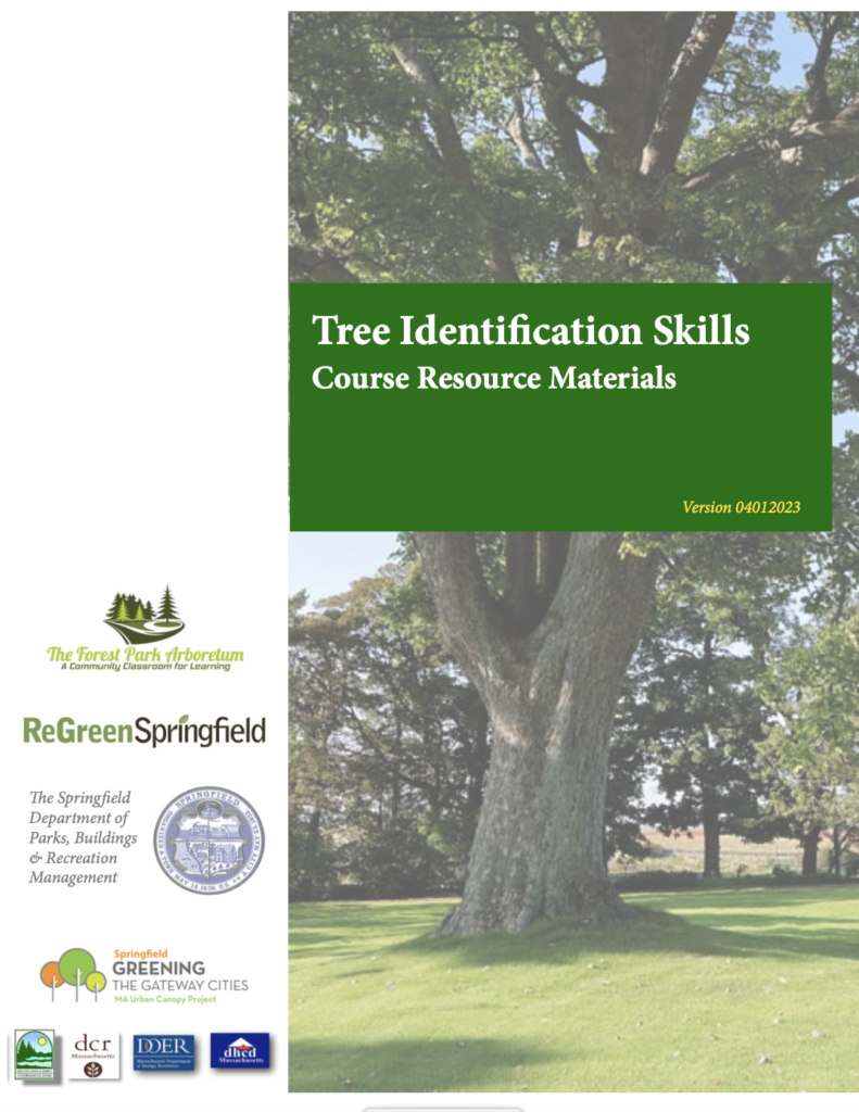 Tree Identification Guide Available Online | ReGreen Springfield